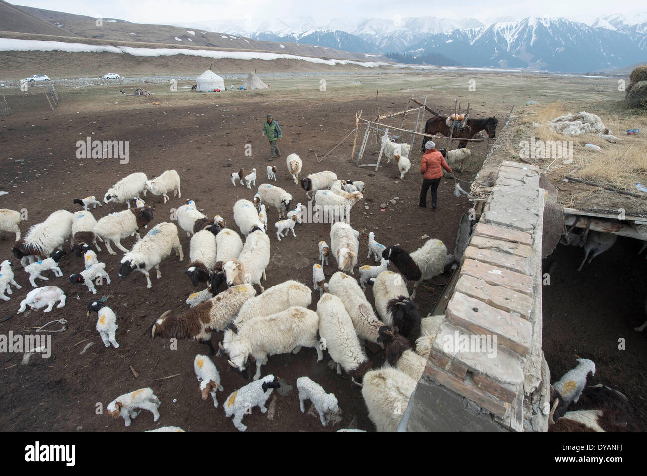 Hejing, China's Xinjiang Uygur Autonomous Region. 11th Apr, 2014 ...