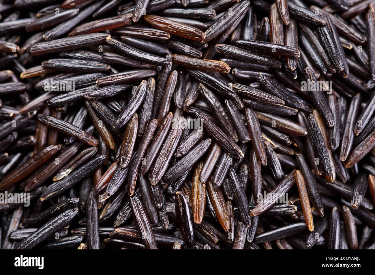 wild rice background Stock Photo - Alamy