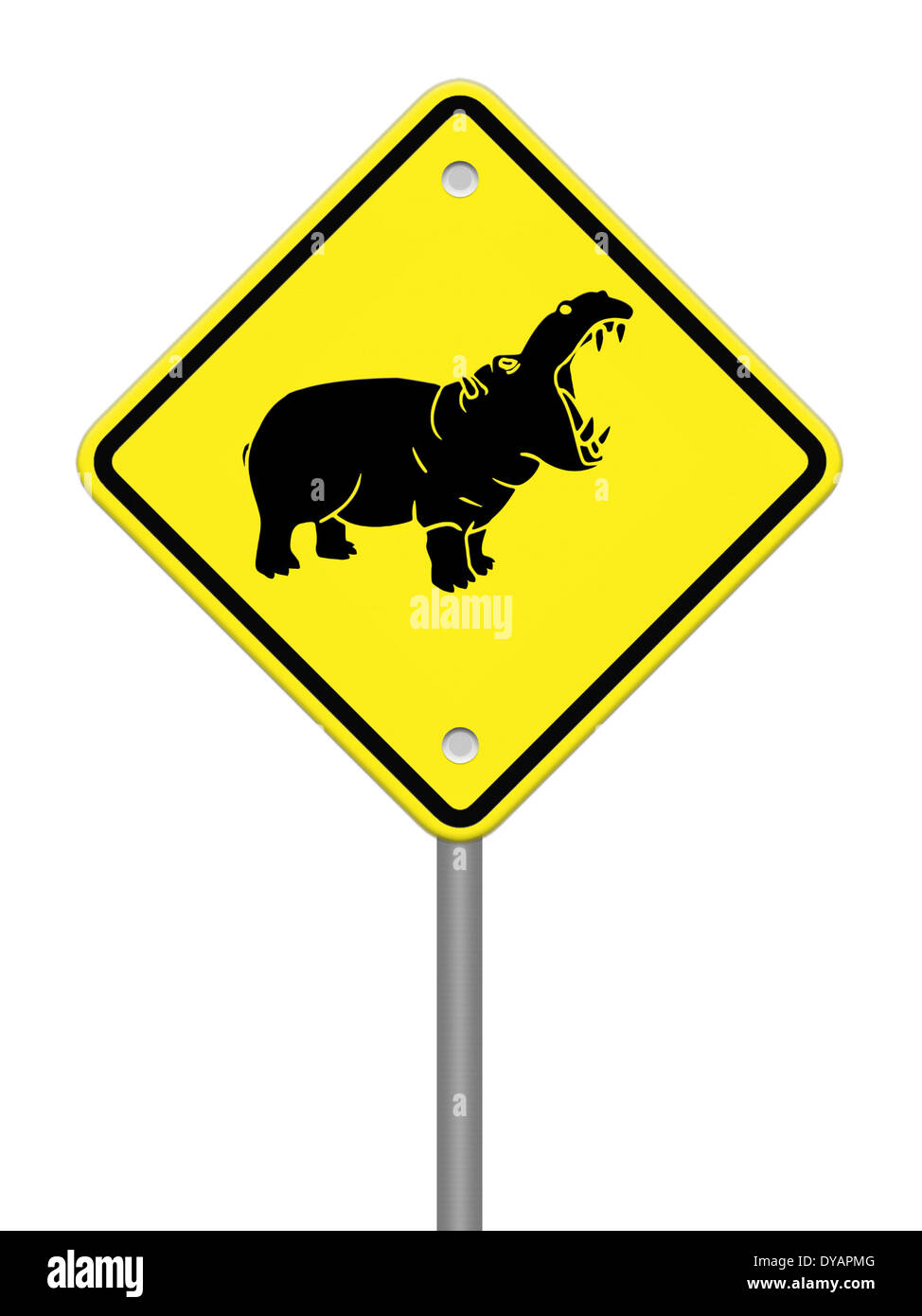 hippo warning sign on the road Stock Photo - Alamy