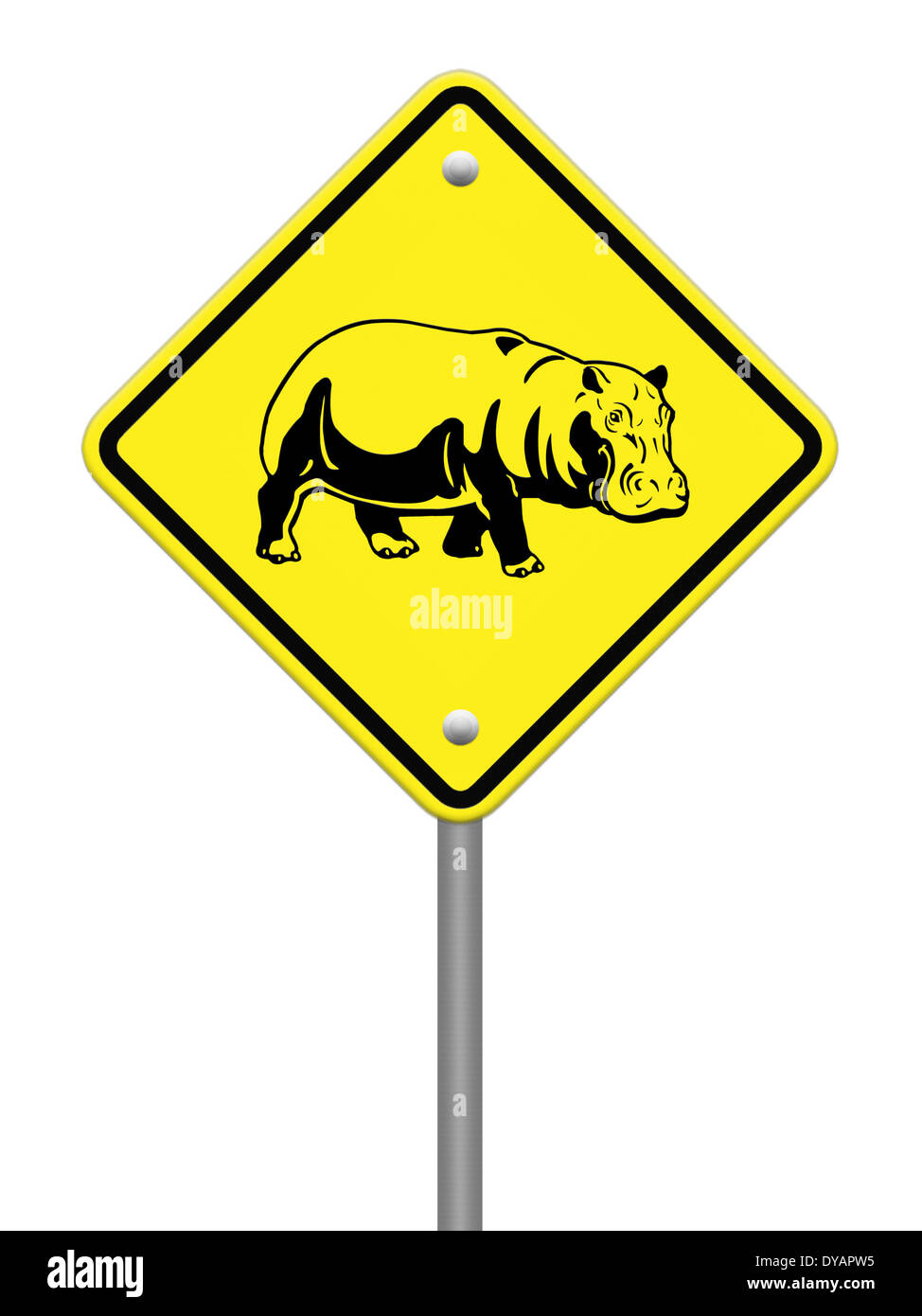 hippo warning sign on the road Stock Photo - Alamy