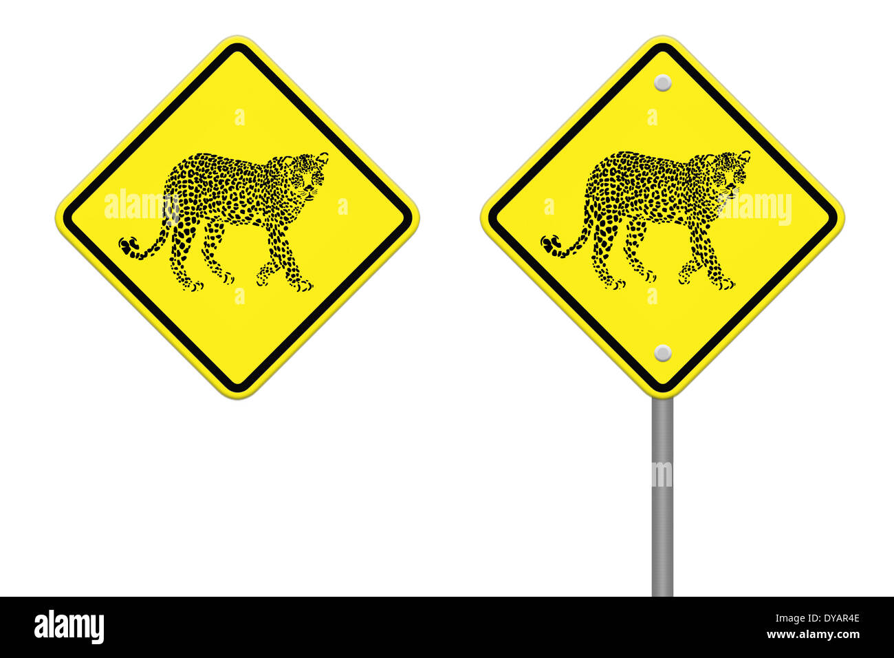 Jaguar tiger warning sign on the road Stock Photo - Alamy