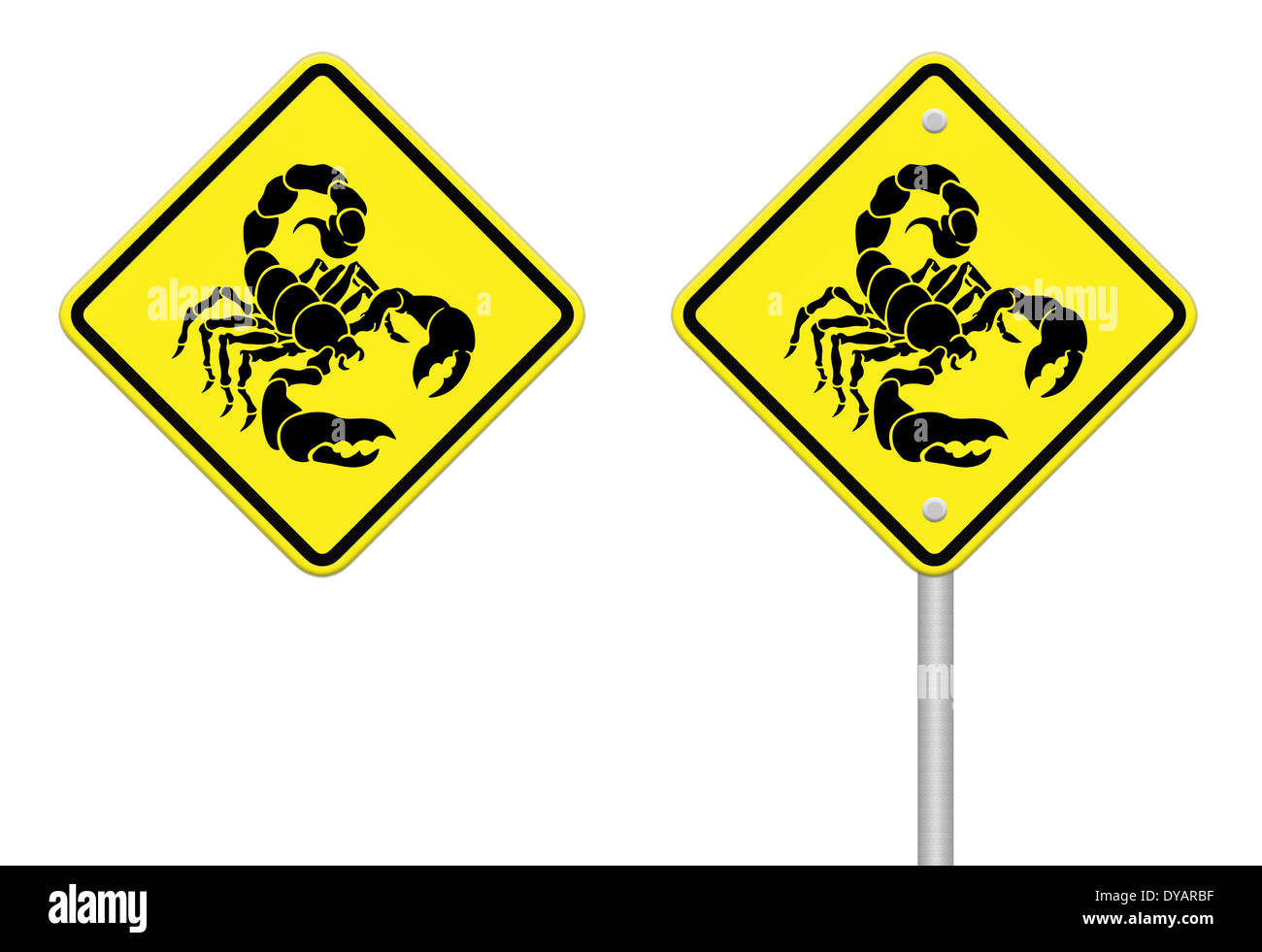 Hairy scorpion hi-res stock photography and images - Alamy