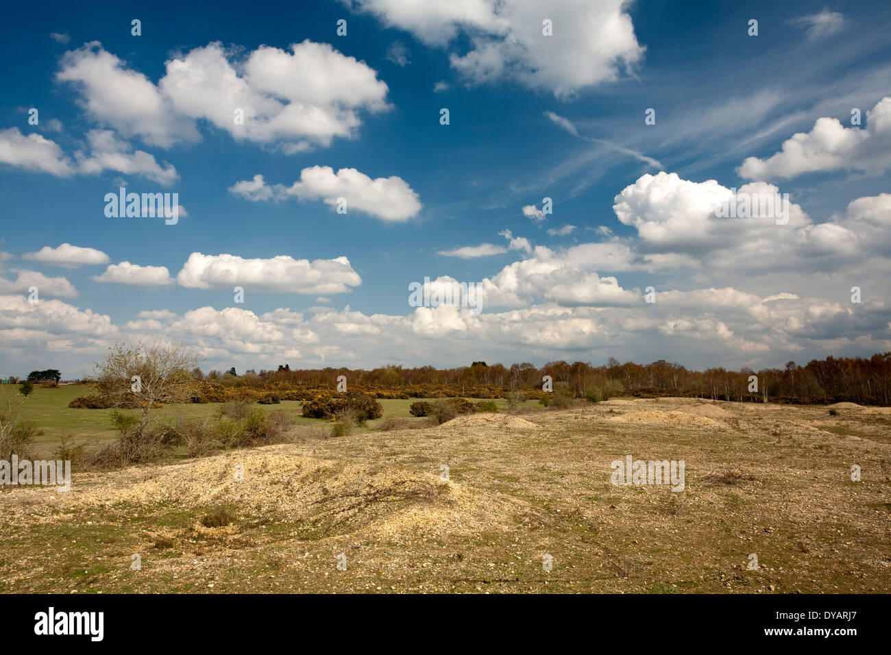 Greenham common hi-res stock photography and images - Alamy