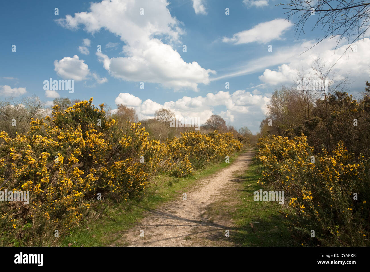 Greenham common hi-res stock photography and images - Alamy