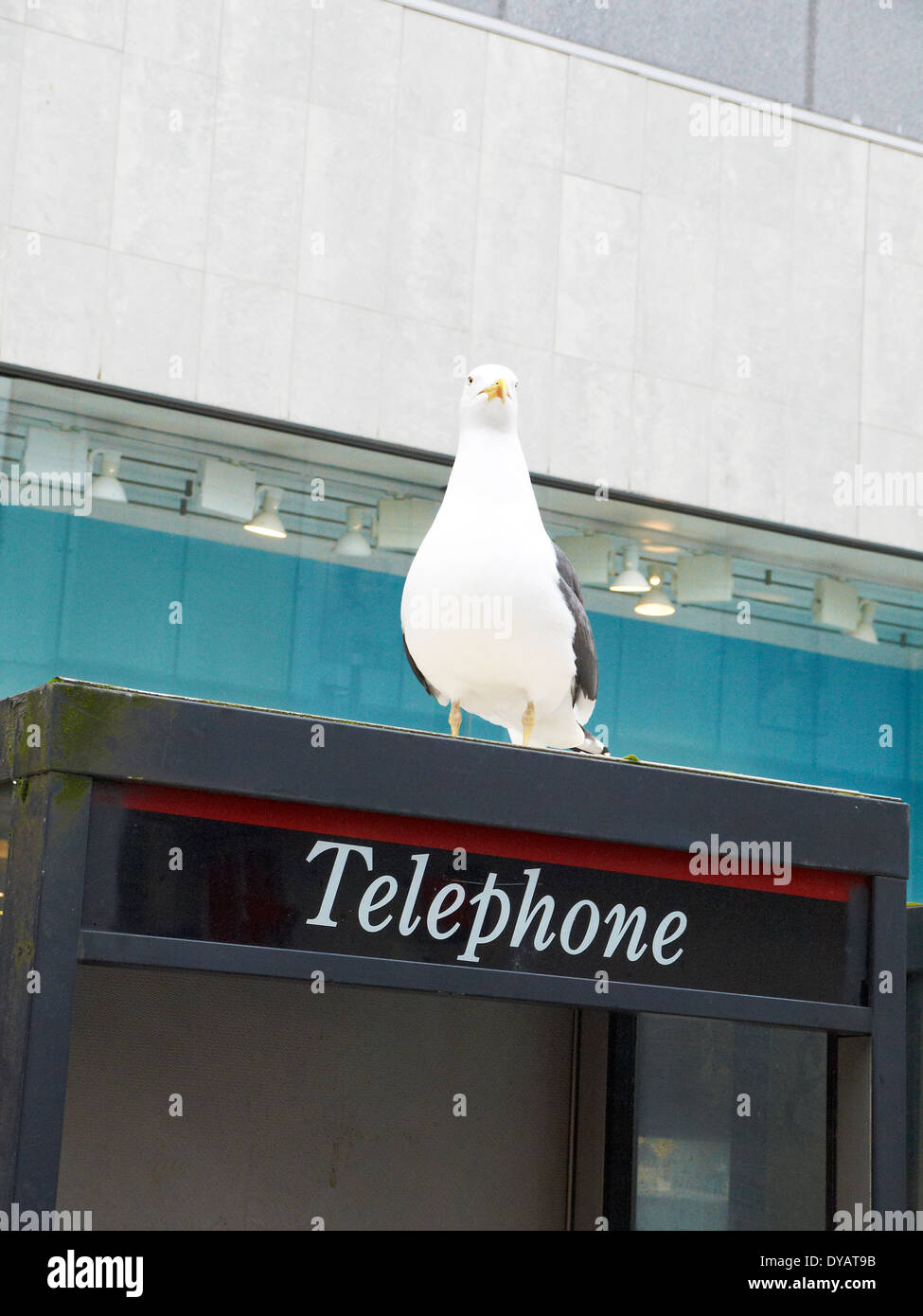 Telephone box in liverpool hi-res stock photography and images - Alamy