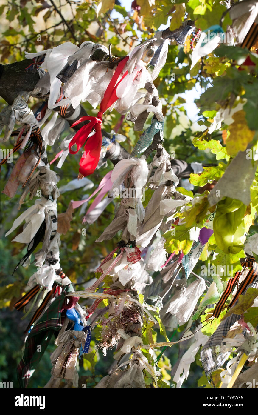 Memory tree hi-res stock photography and images - Alamy