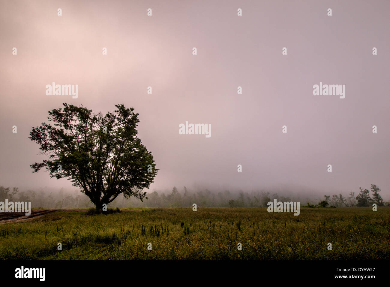 Soul alone hi-res stock photography and images - Alamy