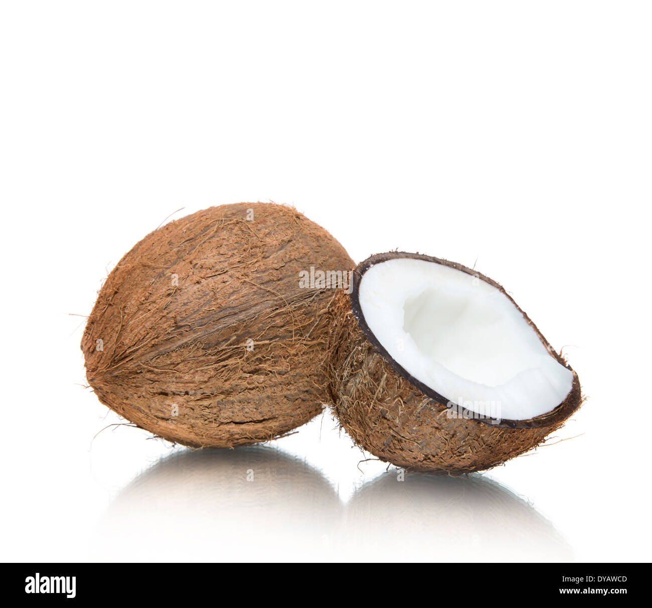 coconut cut in half on white background Stock Photo - Alamy