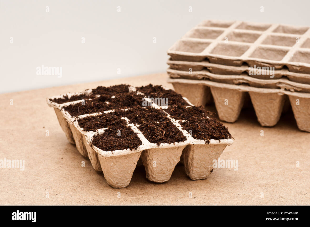 Biodegradable seed tray with potting compost for growing seeds Stock ...