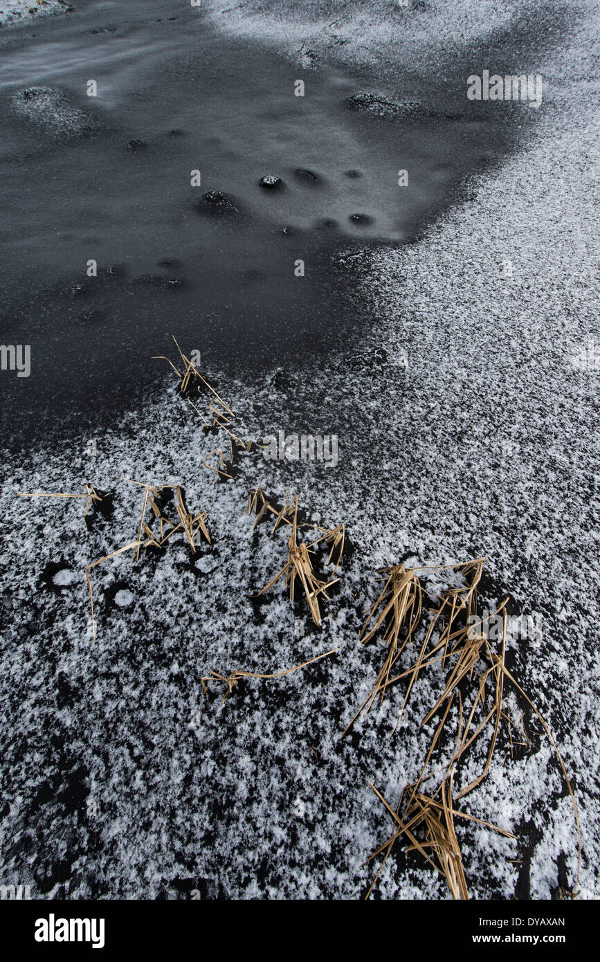Light snowfall over a fresh dark layer of volcanic ashes, Iceland Stock ...