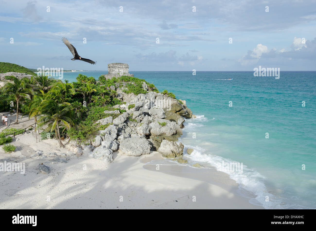 Tulum mayan city, mexico Stock Photo - Alamy