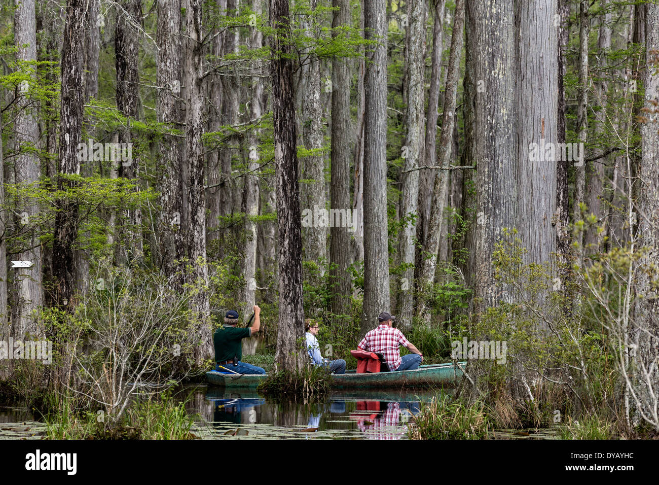 Dean hall plantation hi-res stock photography and images - Alamy