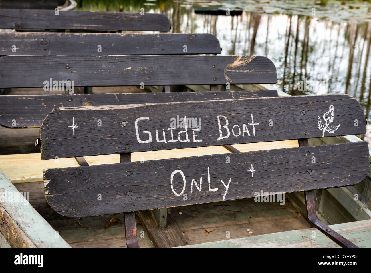 Guide boat notice on a boat in the blackwater bald cypress and tupelo ...