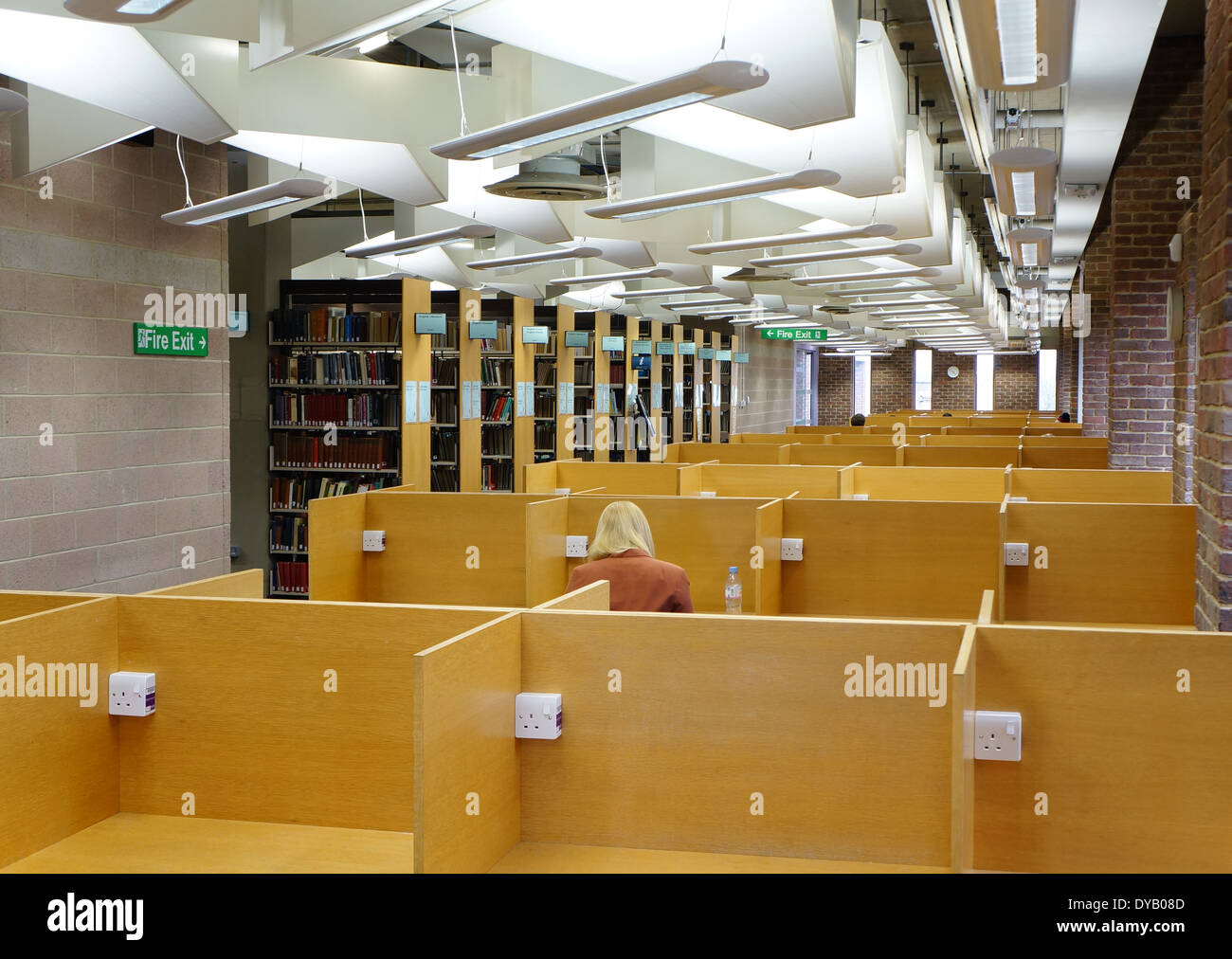 Library studying alone Stock Photo - Alamy