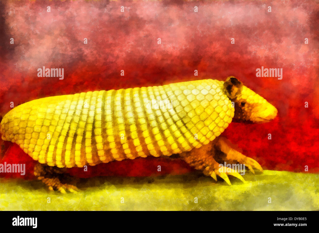 Armadillos illustrations hi-res stock photography and images - Alamy