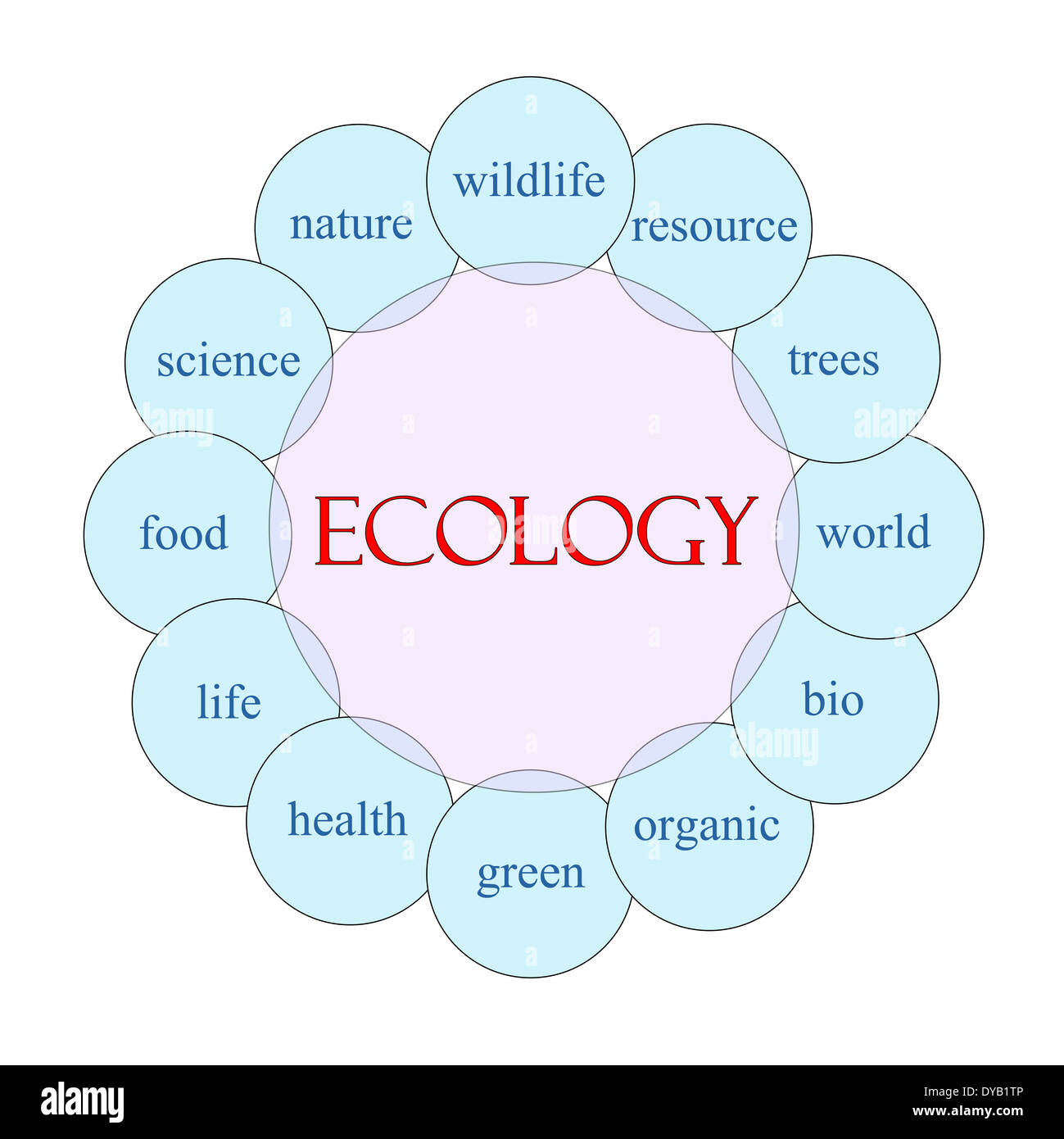 Ecology concept circular diagram in pink and blue with great terms such ...