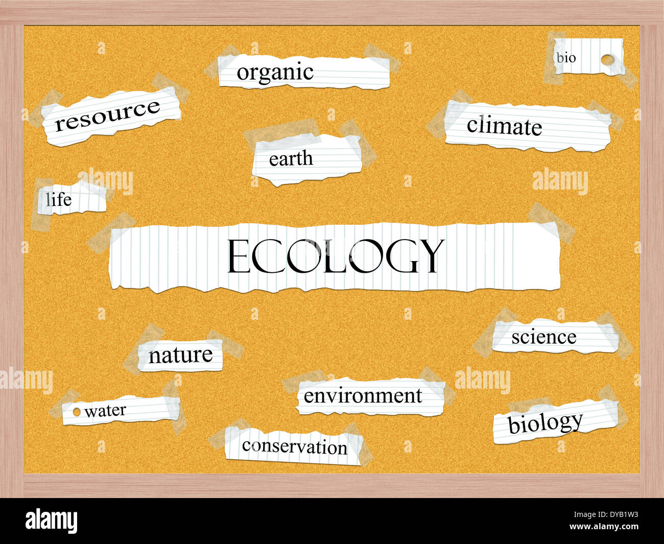 Ecology Corkboard Word Concept with great terms such as climate, life ...