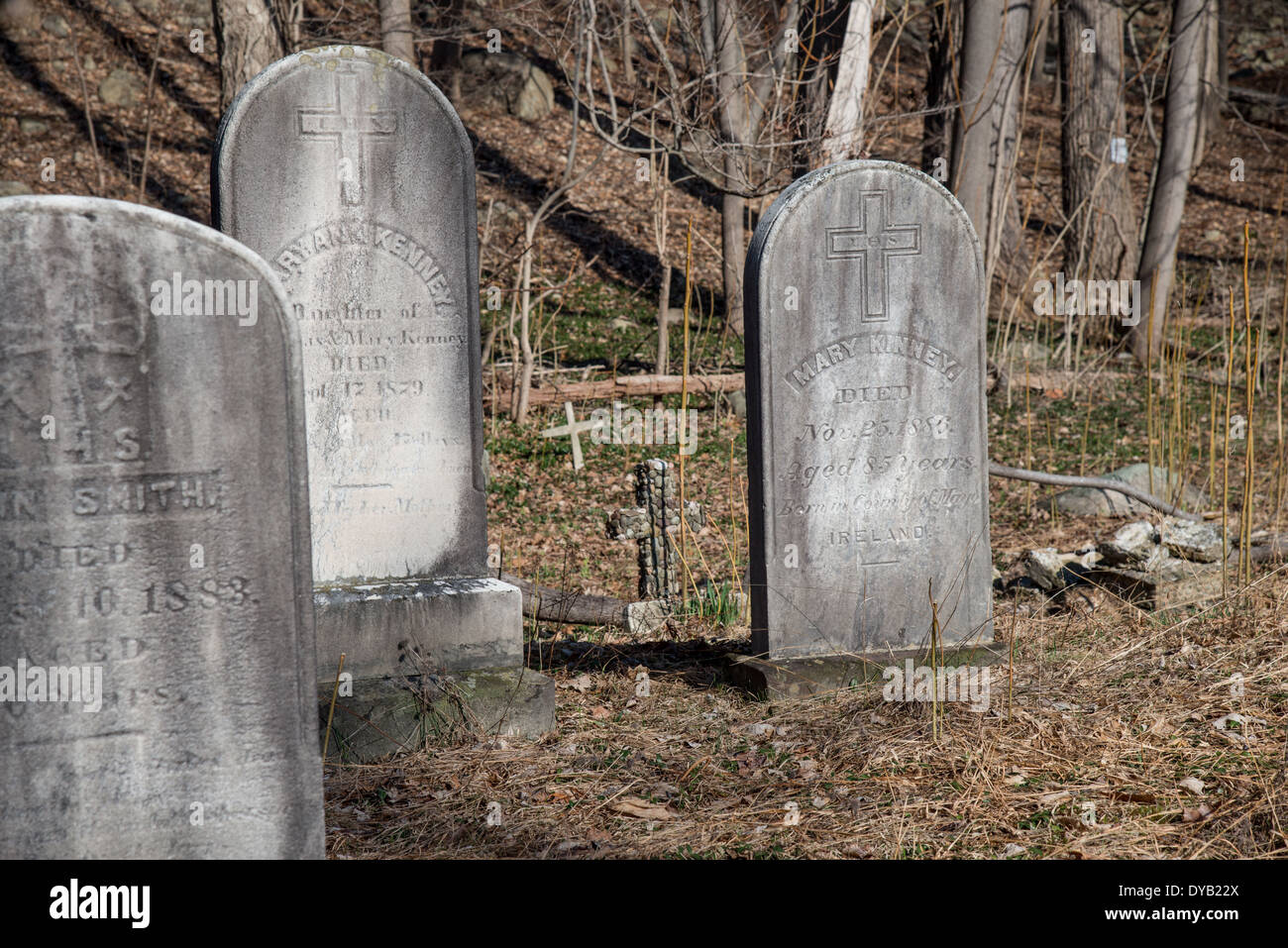 Old headstones in graveyard, cemetery, abandoned and forgotten Stock ...