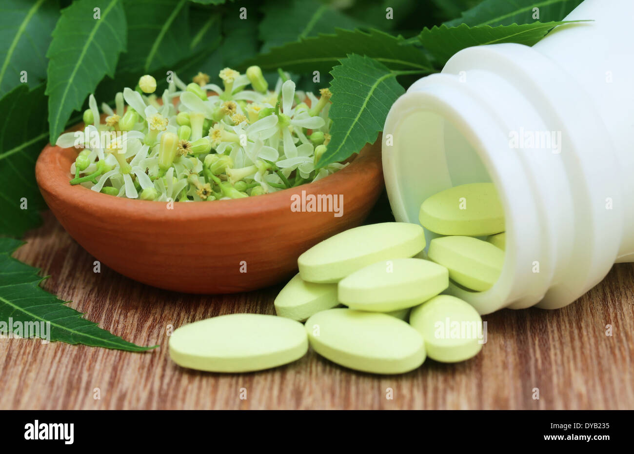 Pills made from medicinal neem leaves and flower Stock Photo - Alamy
