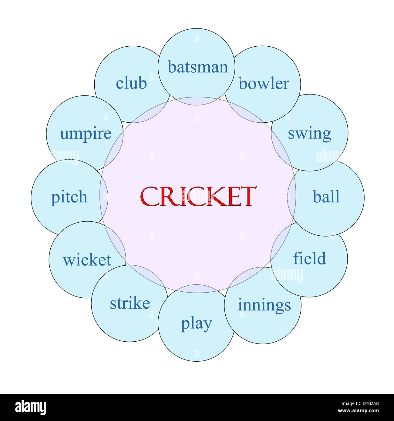 Cricket Diagram With Labels