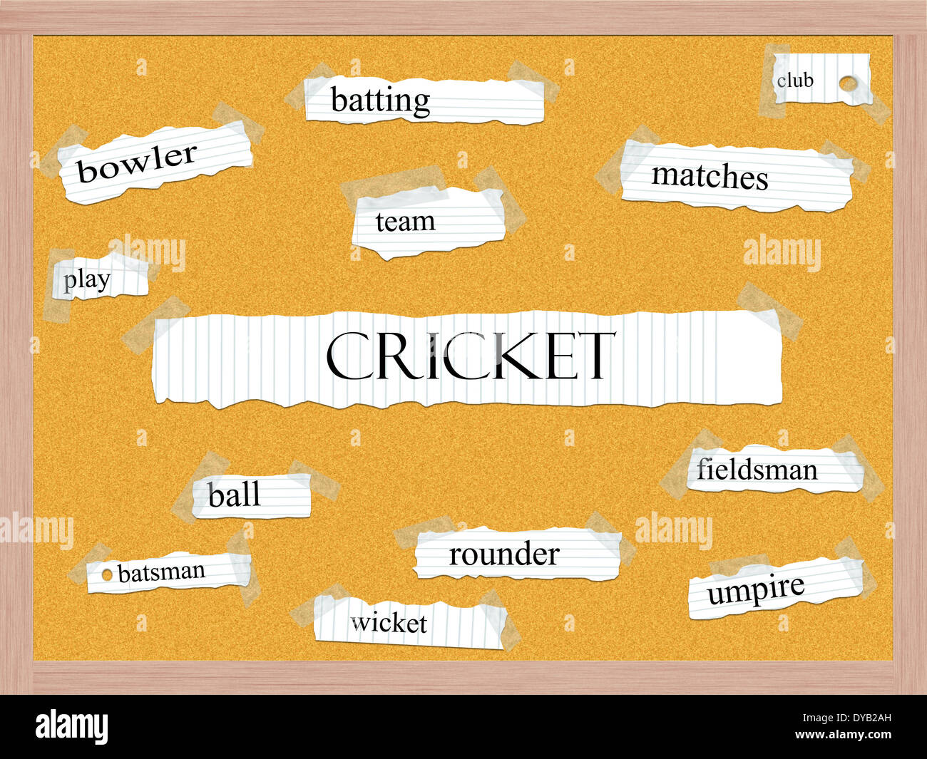 Cricket Corkboard Word Concept with great terms such as batting, play ...