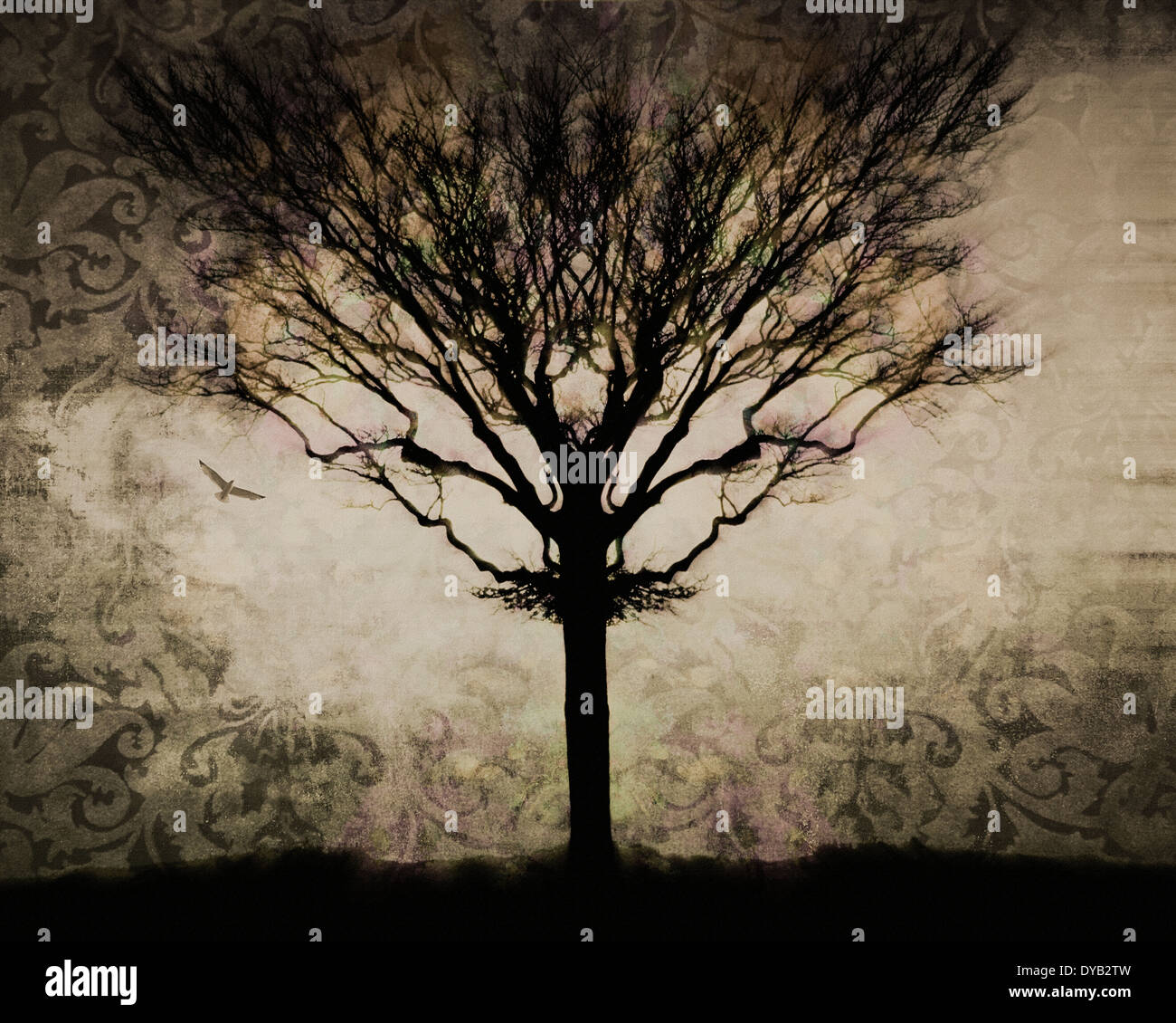 Digital tree silhouette hi-res stock photography and images - Alamy