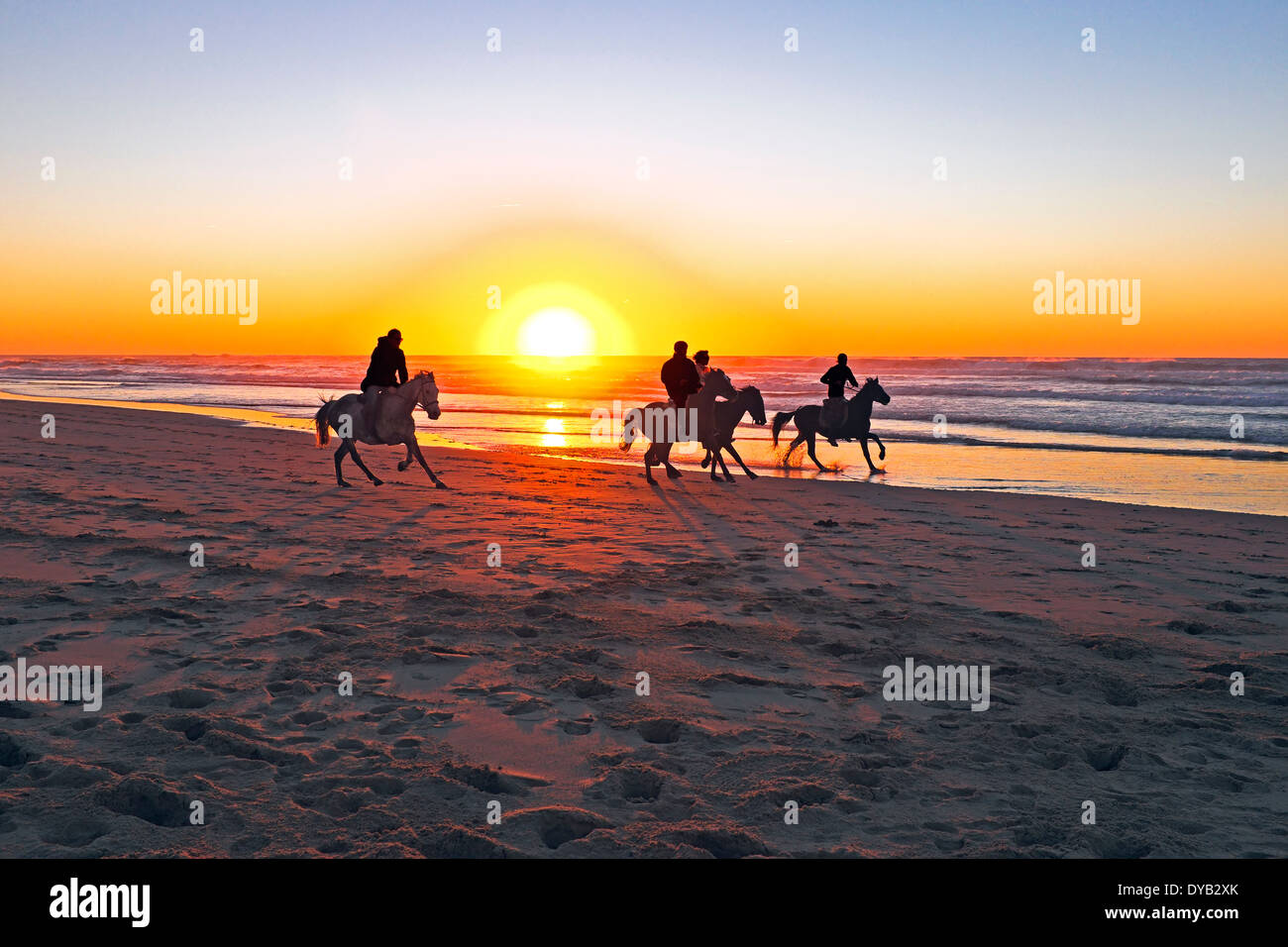Man horse riding on the beach at sunset Stock Photo - Alamy