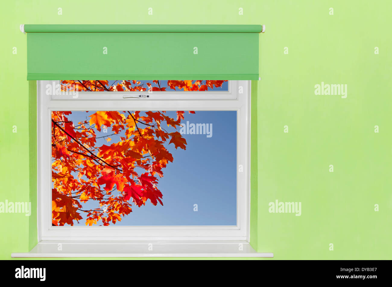 View autumn leaves and blue sky from window Stock Photo - Alamy