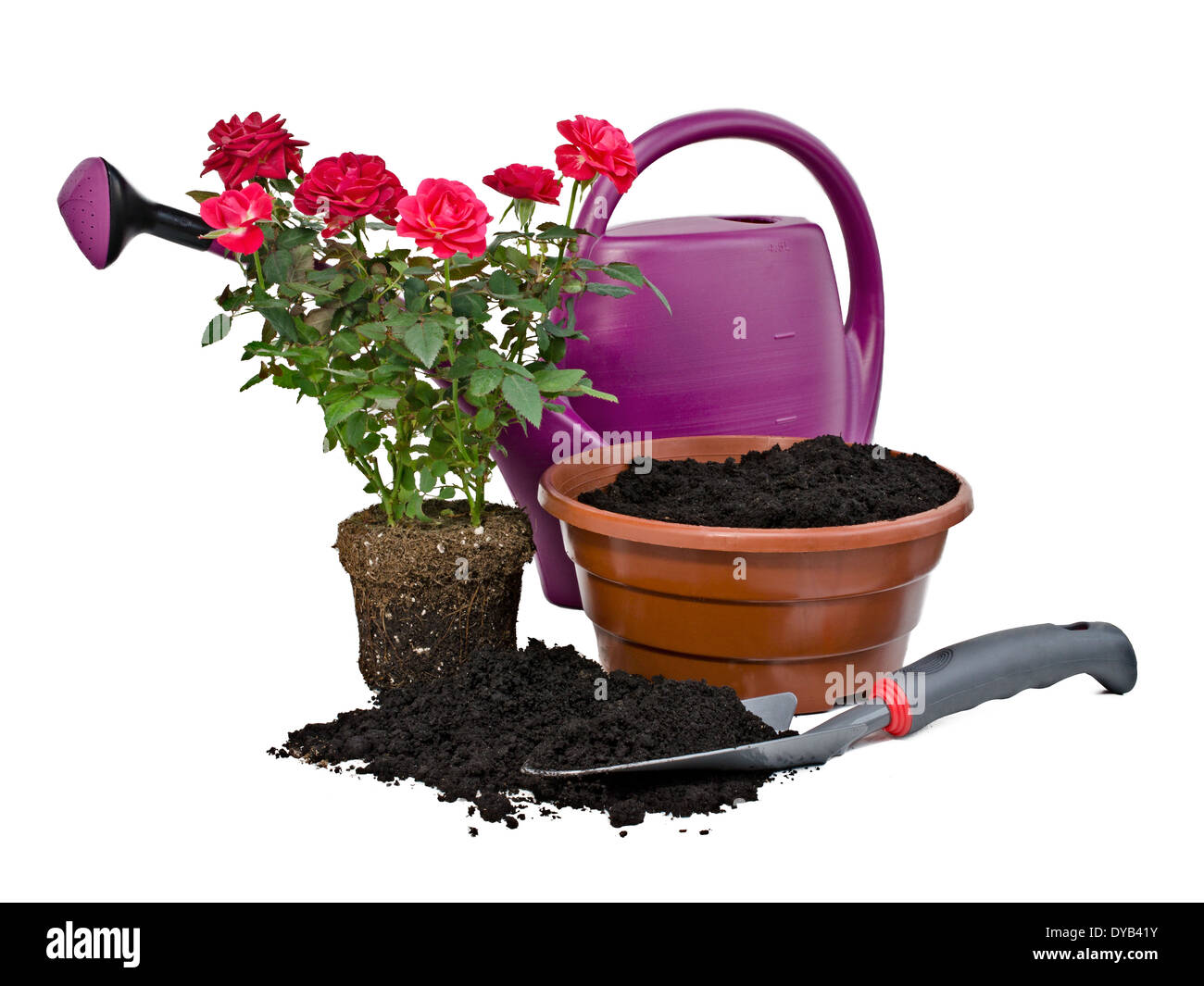 Shrub land Cut Out Stock Images & Pictures - Alamy