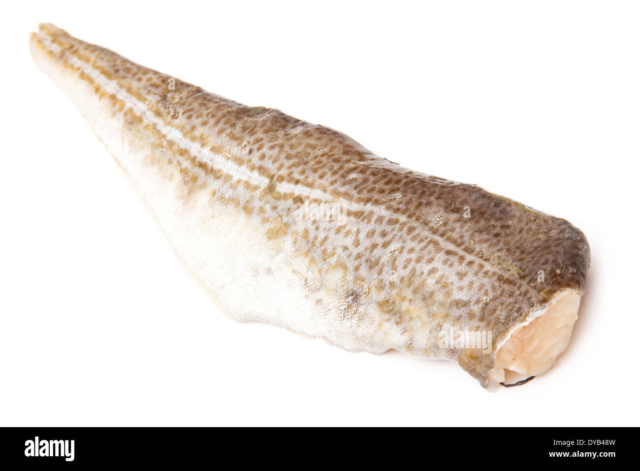 Atlantic Cod fillet isolated on a white studio background Stock Photo ...