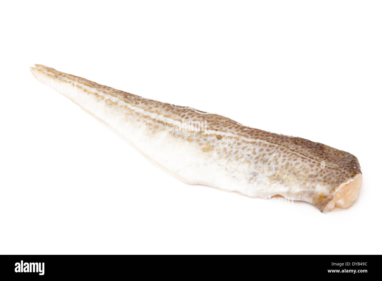 Atlantic Cod fillet isolated on a white studio background Stock Photo ...