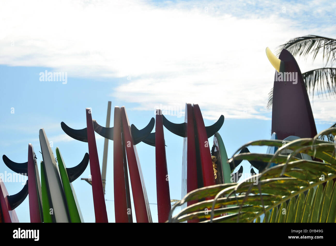 Stack of surfboards by seaside Stock Photo - Alamy