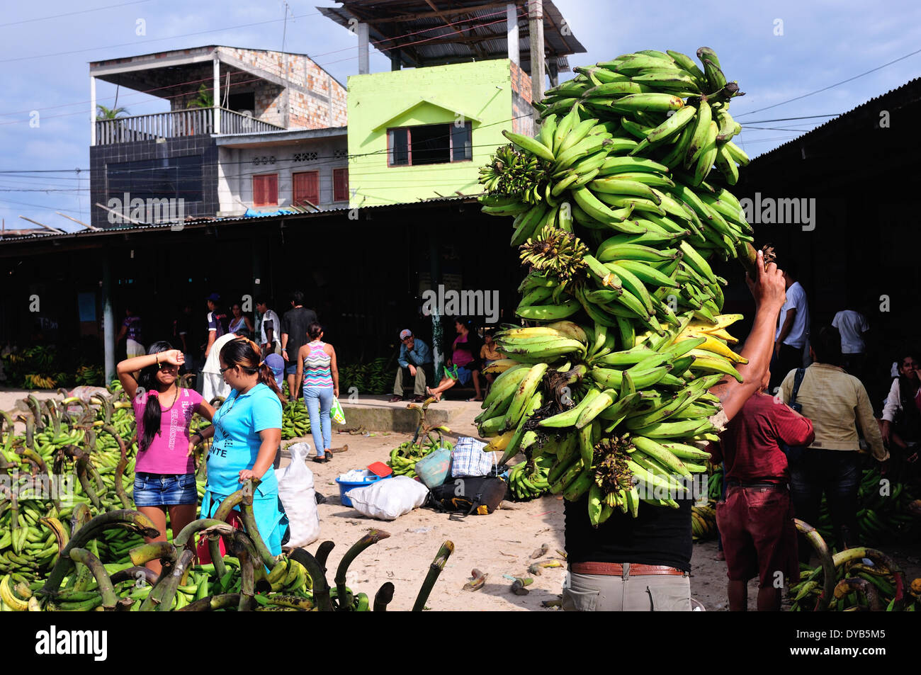 Bananas - Port of Masusa iin IQUITOS . Department of Loreto .PERU Stock ...
