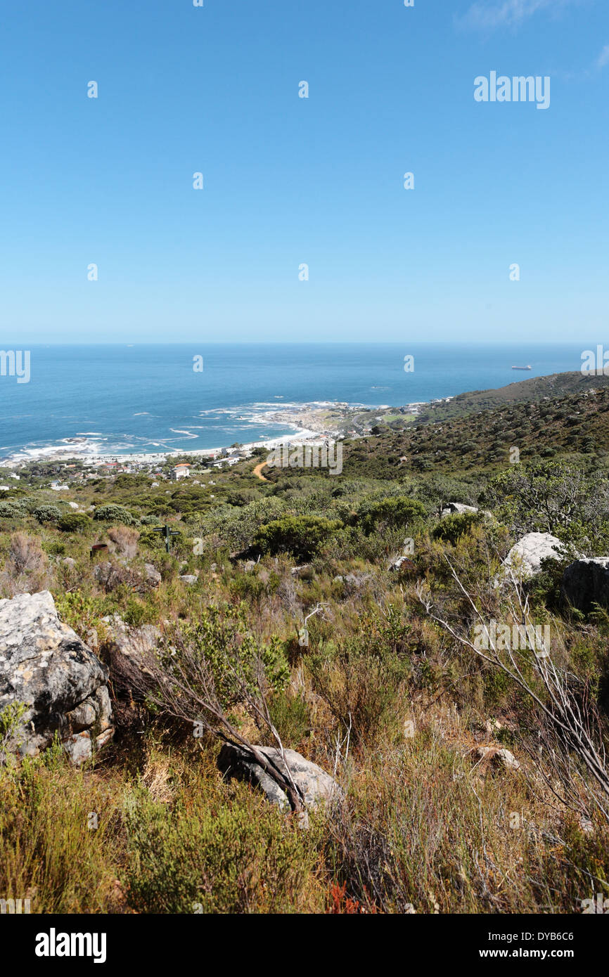 Diagonal hiking trail on Table Mountain with Camps Bay in the ...