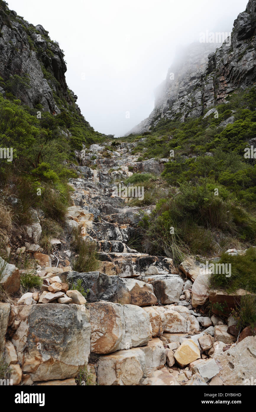 Table mountain trail hi-res stock photography and images - Alamy