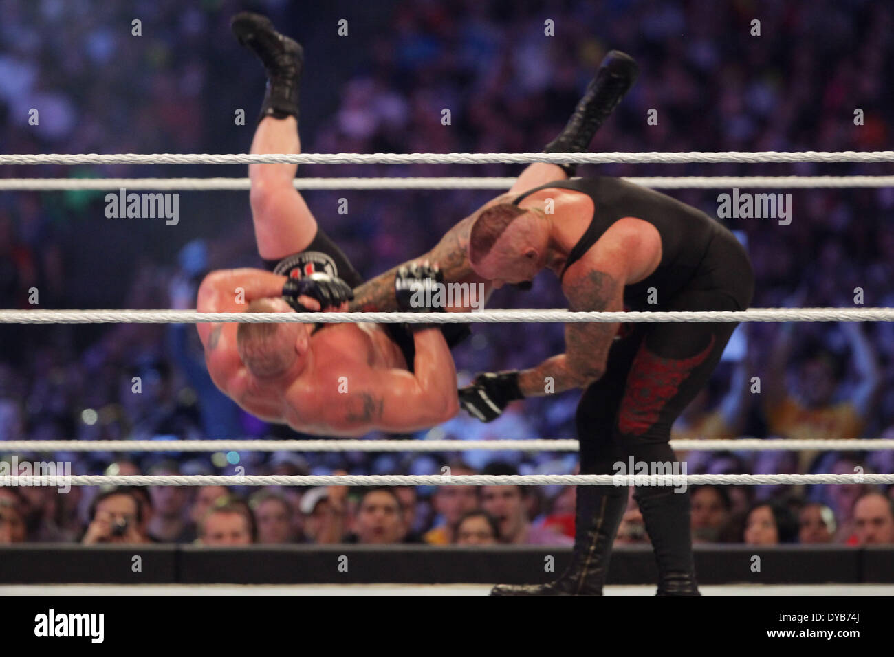 The Undertaker Vs Brock Lesnar Wrestlemania 30 Wallpaper