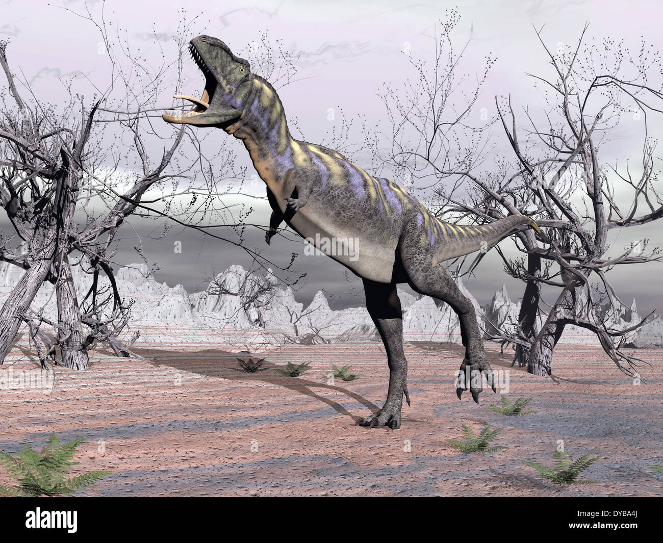 Aucasaurus dinosaur roaring in the desert Stock Photo - Alamy