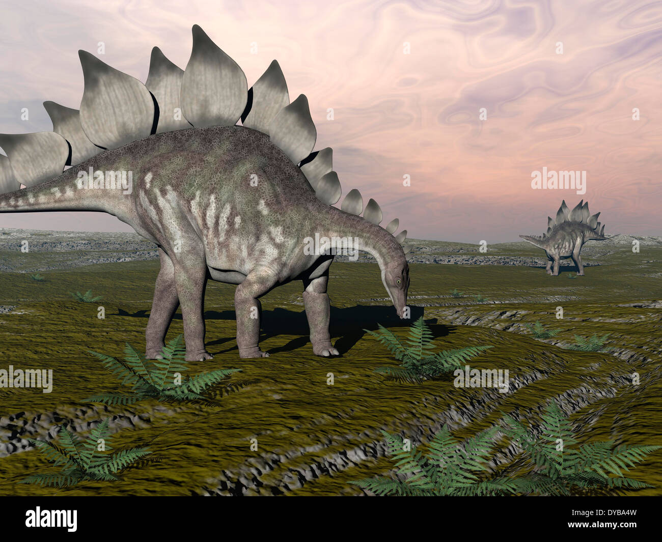 Stegosaurus hi-res stock photography and images - Alamy