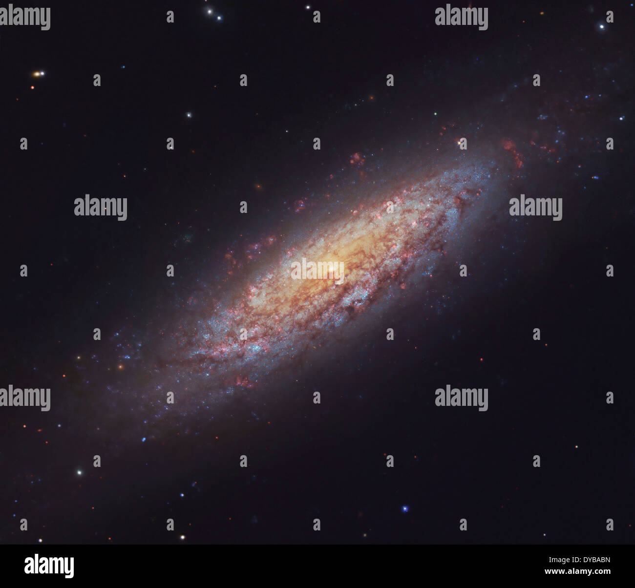 NGC 6503, spiral galaxy in the constellation Draco Stock Photo - Alamy