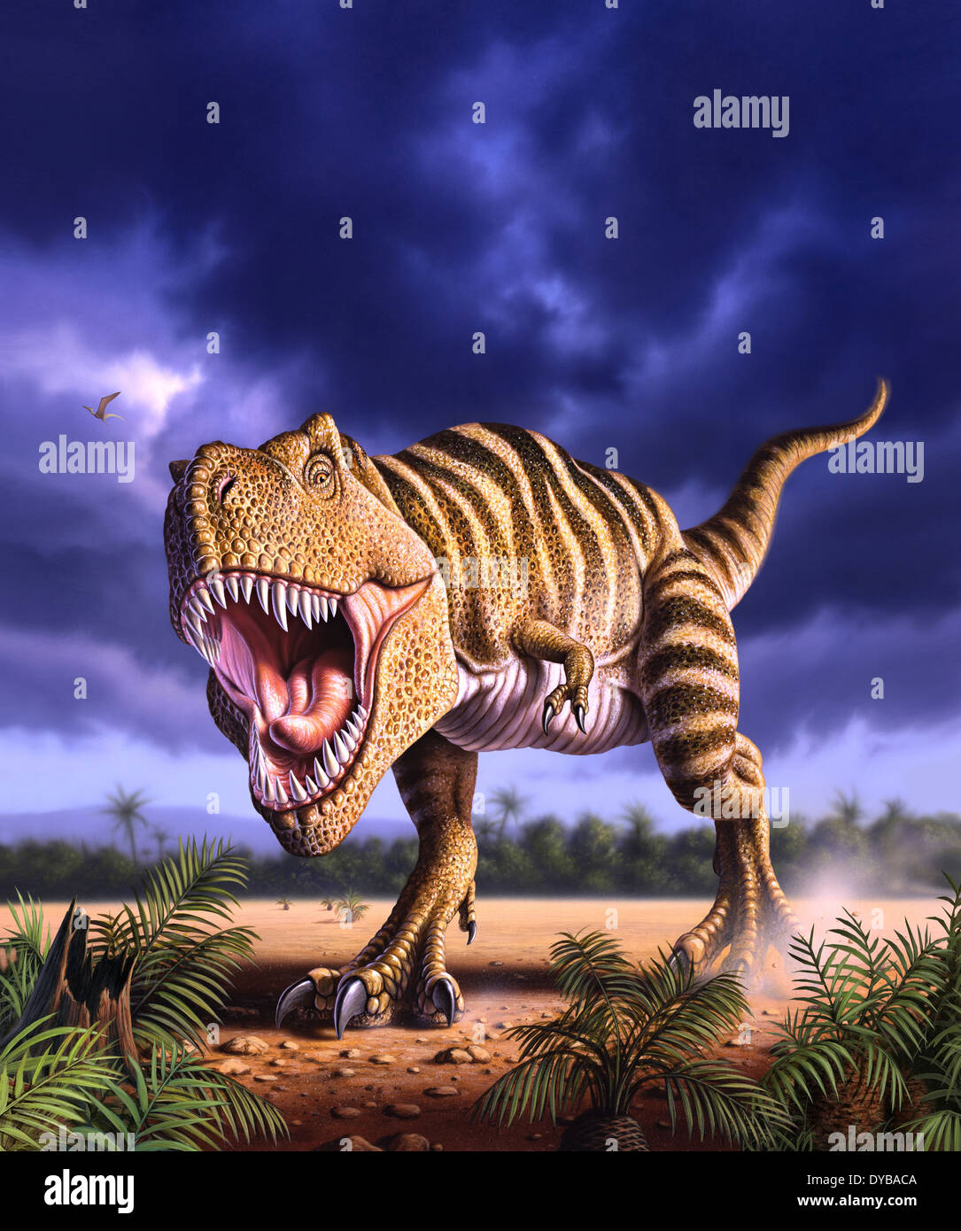 Tyrannosaurus rex hi-res stock photography and images - Alamy