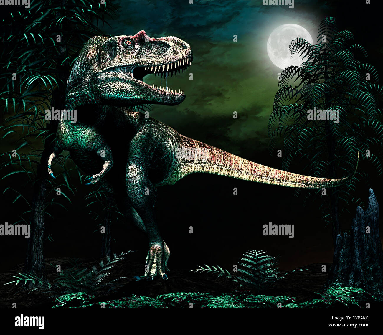 Albertosaurus High Resolution Stock Photography and Images - Alamy