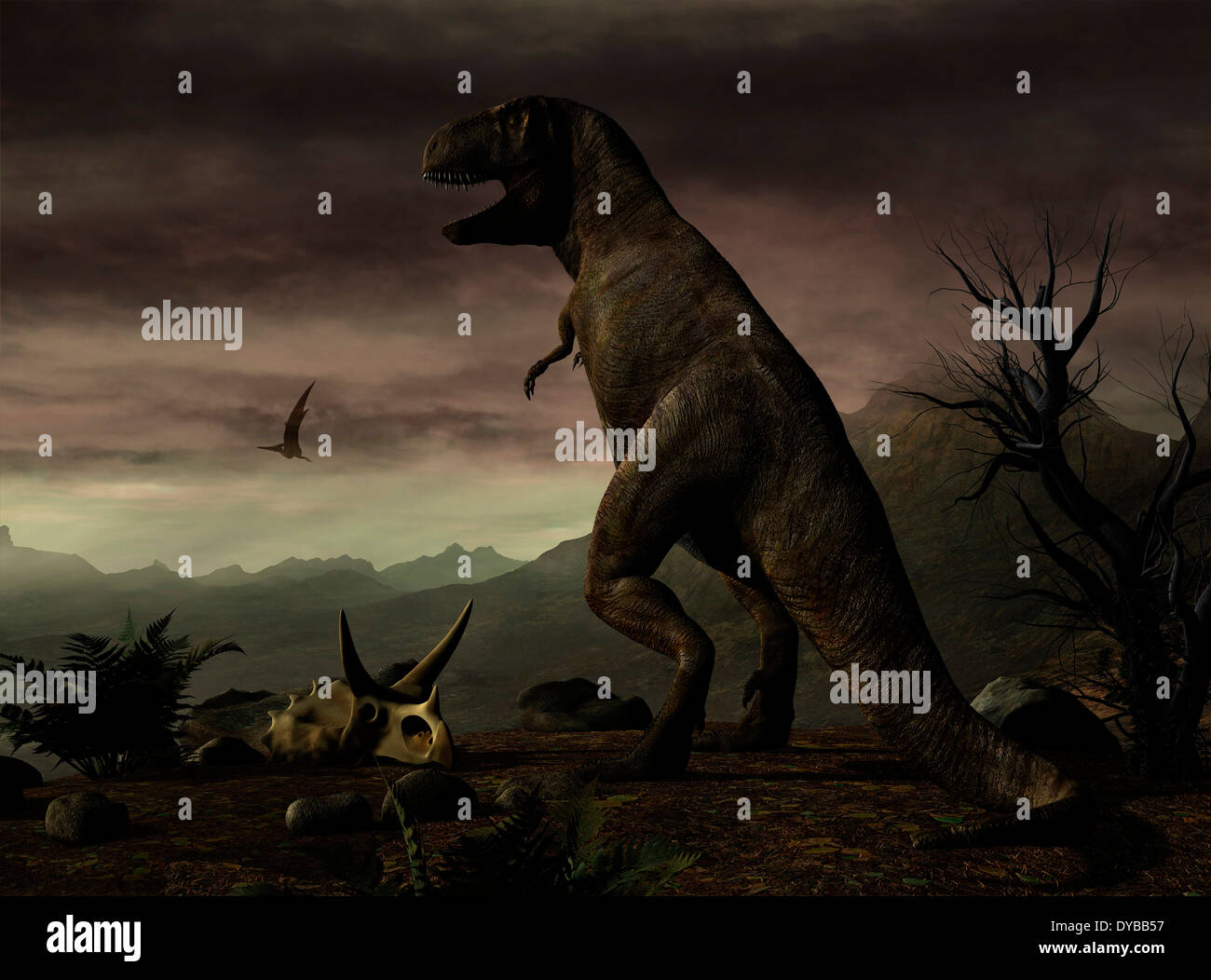 An old-fashioned depiction of Tyrannosaurus Rex in upright stance Stock ...