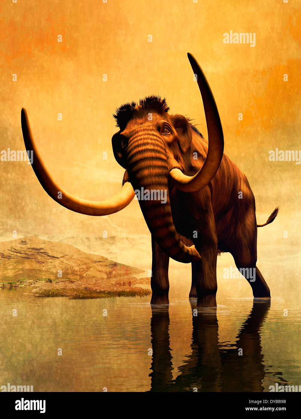 Frozen Woolly Mammoth High Resolution Stock Photography and Images - Alamy