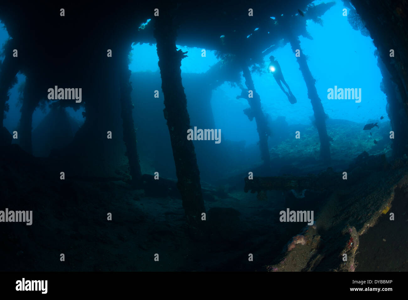Diver exploring the Liberty Wreck, Tulamben, Bali, Indonesia Stock ...