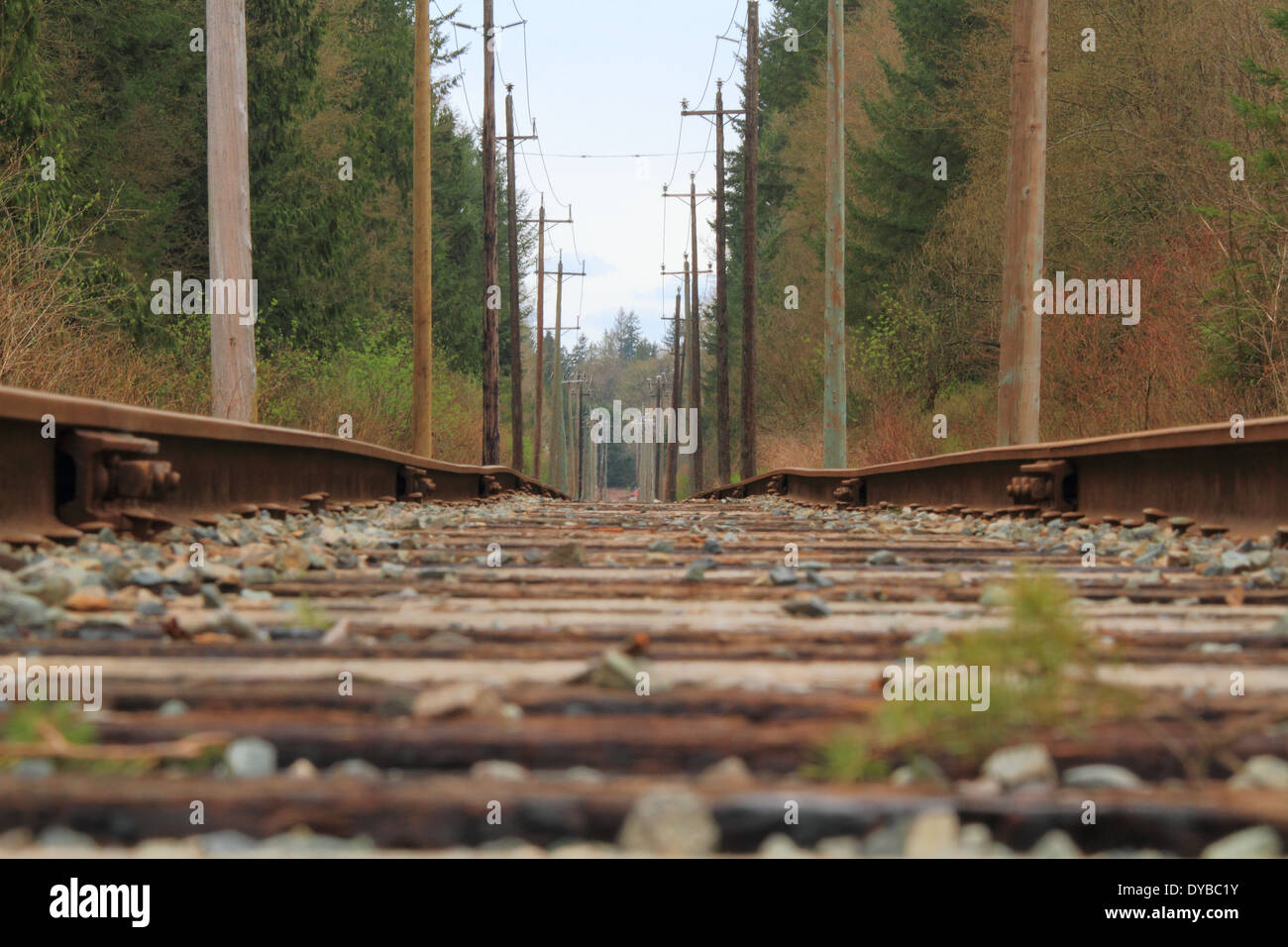 Railway tracks low angle perspective hi-res stock photography and ...