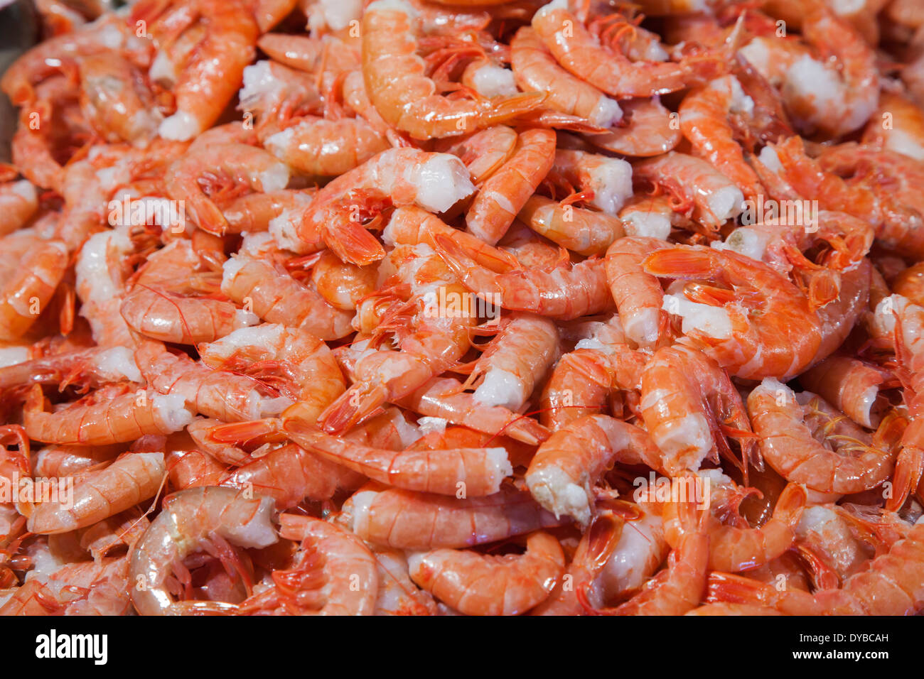 Prawns for sale at Rialto fish market, Venice, Italy Stock Photo - Alamy