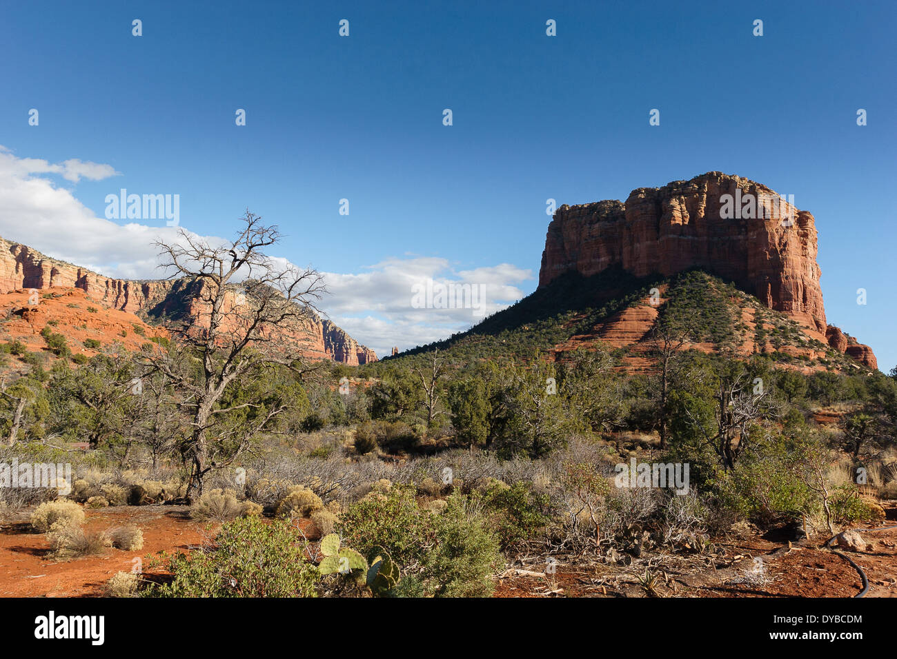 Red Rocks, Sedona Arizona USA Stock Photo - Alamy