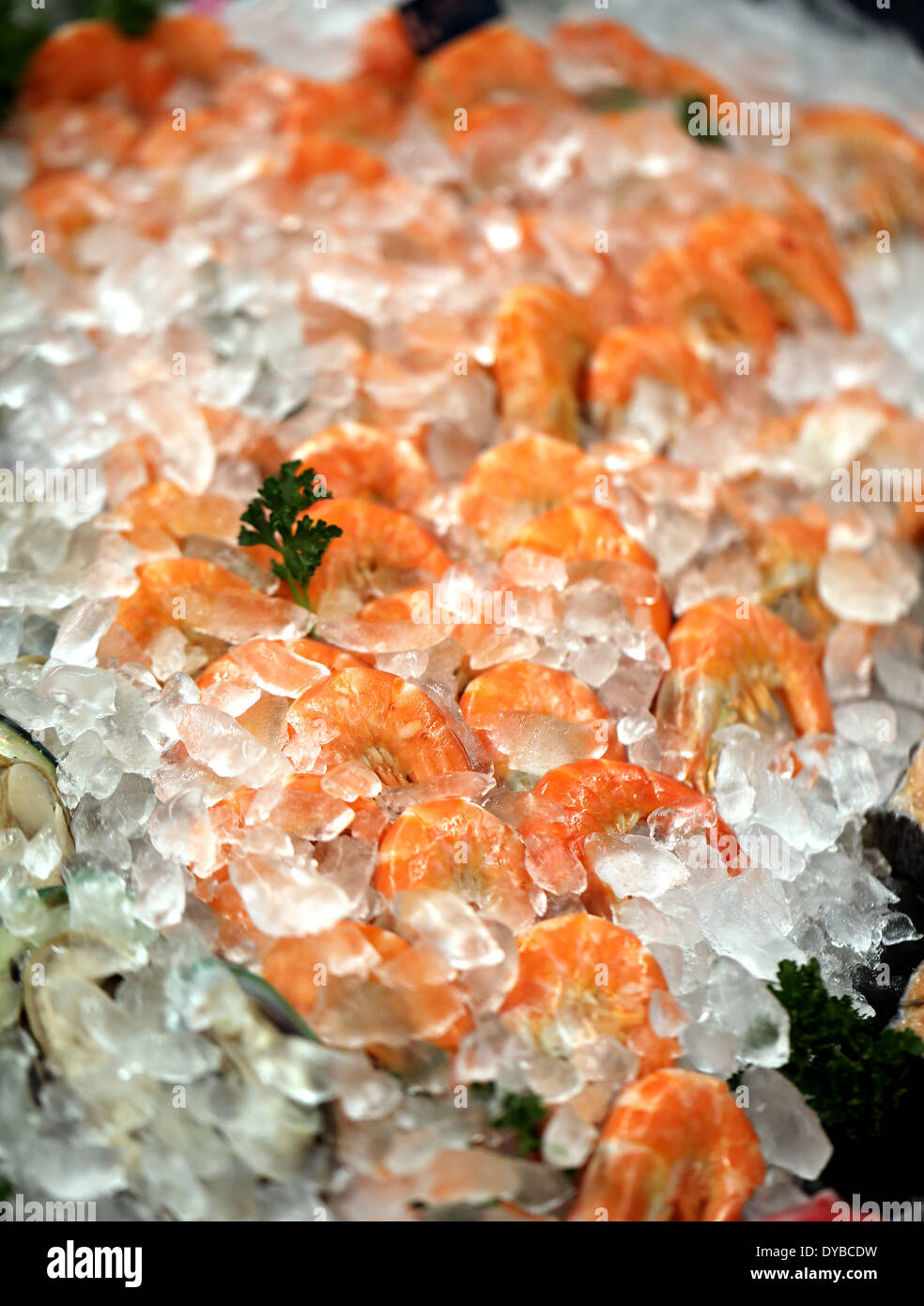shrimp on ice Stock Photo - Alamy