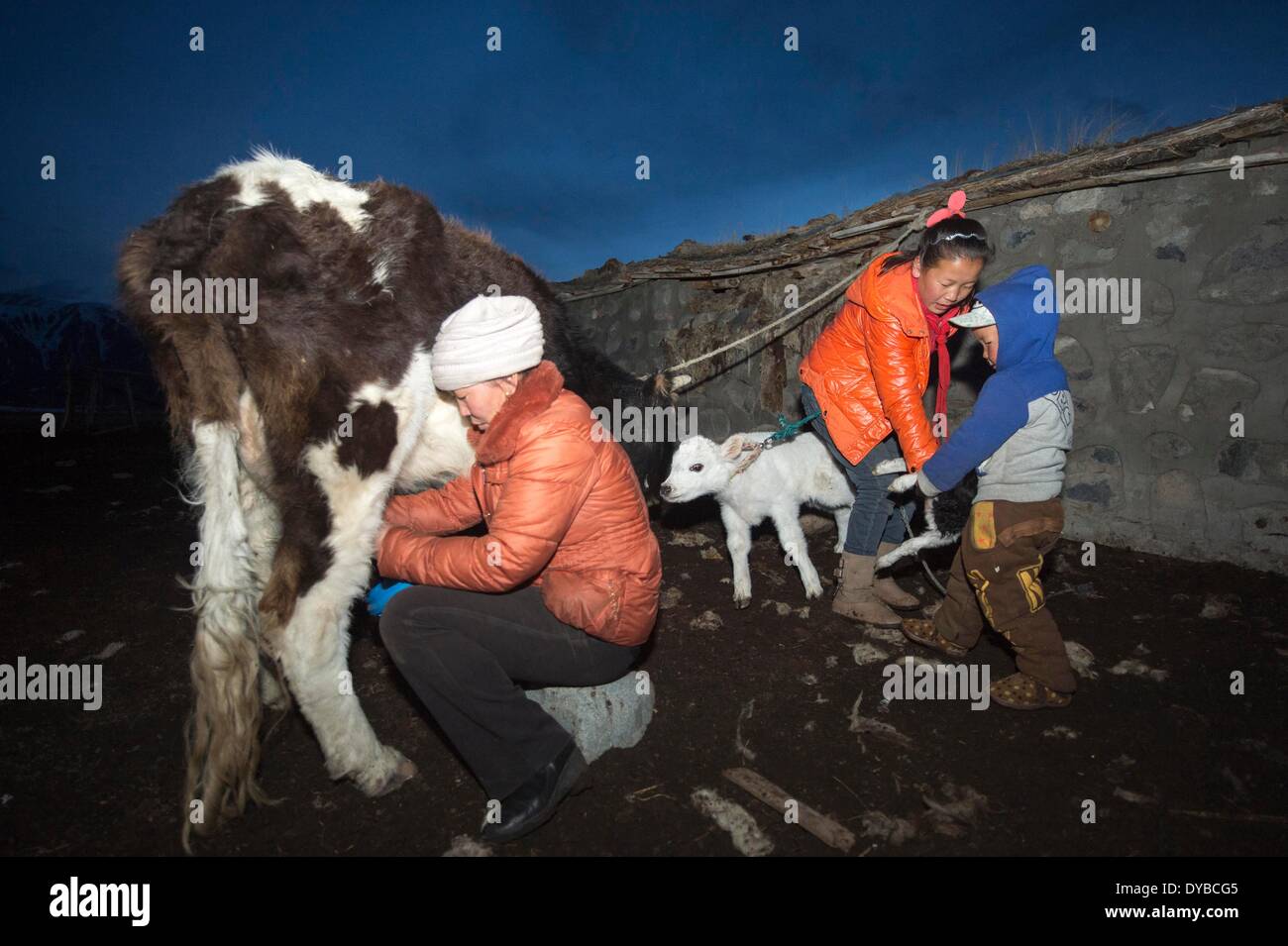 Hejing, China's Xinjiang Uygur Autonomous Region. 12th Apr, 2014 ...