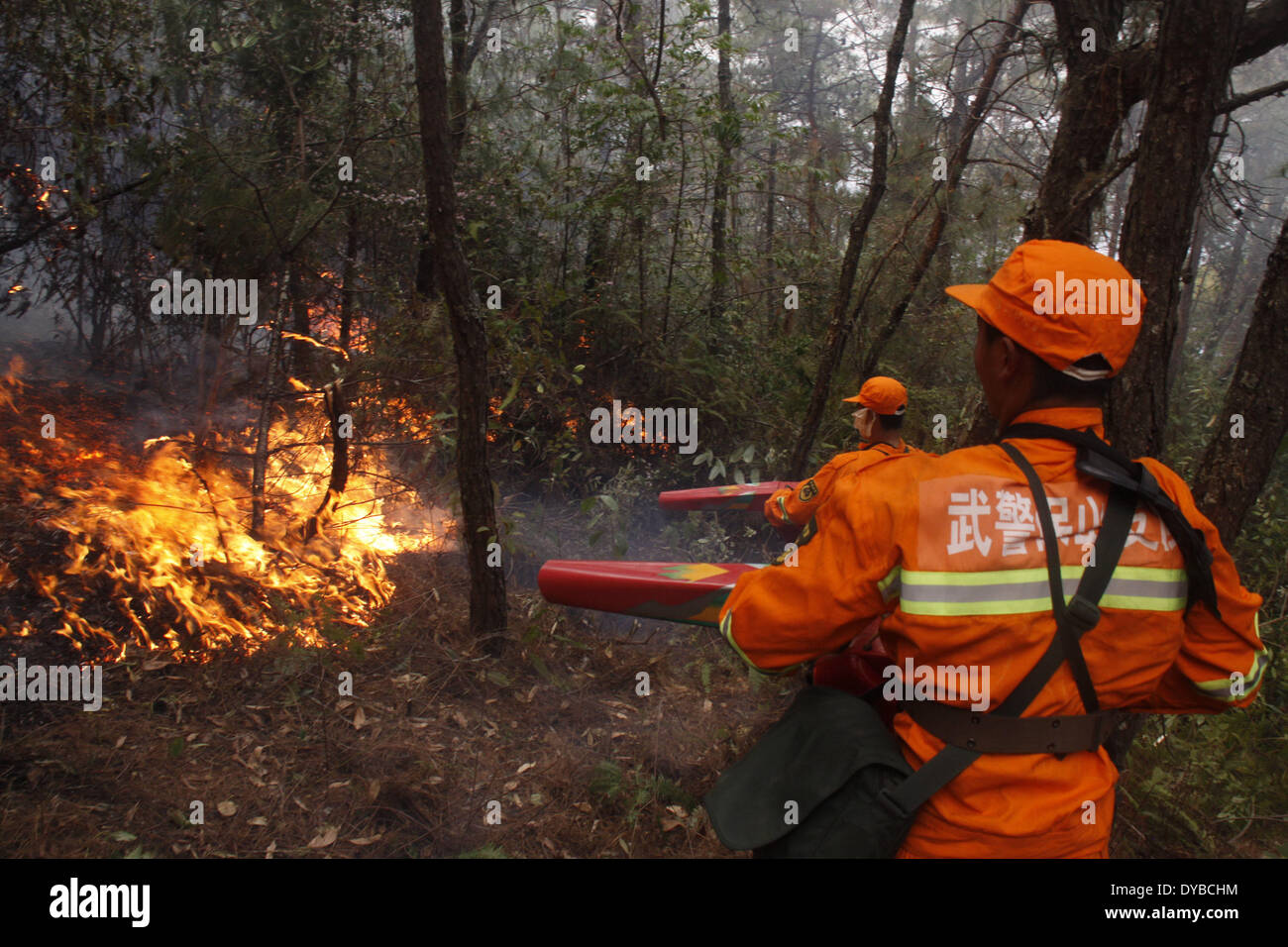 Longyang district hi-res stock photography and images - Alamy